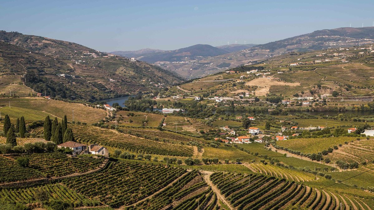 Porto Vasconcellos - Port & Douro Wine